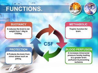 Cerebrospinal fluid | PPTX