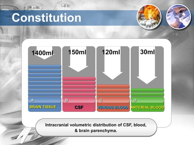 Cerebrospinal fluid | PPT