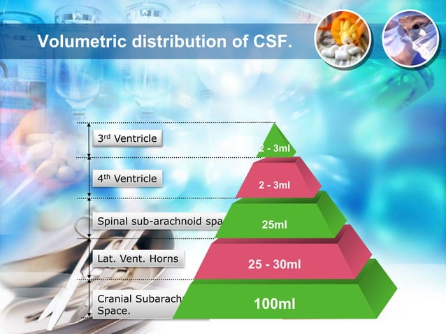 Cerebrospinal fluid | PPT