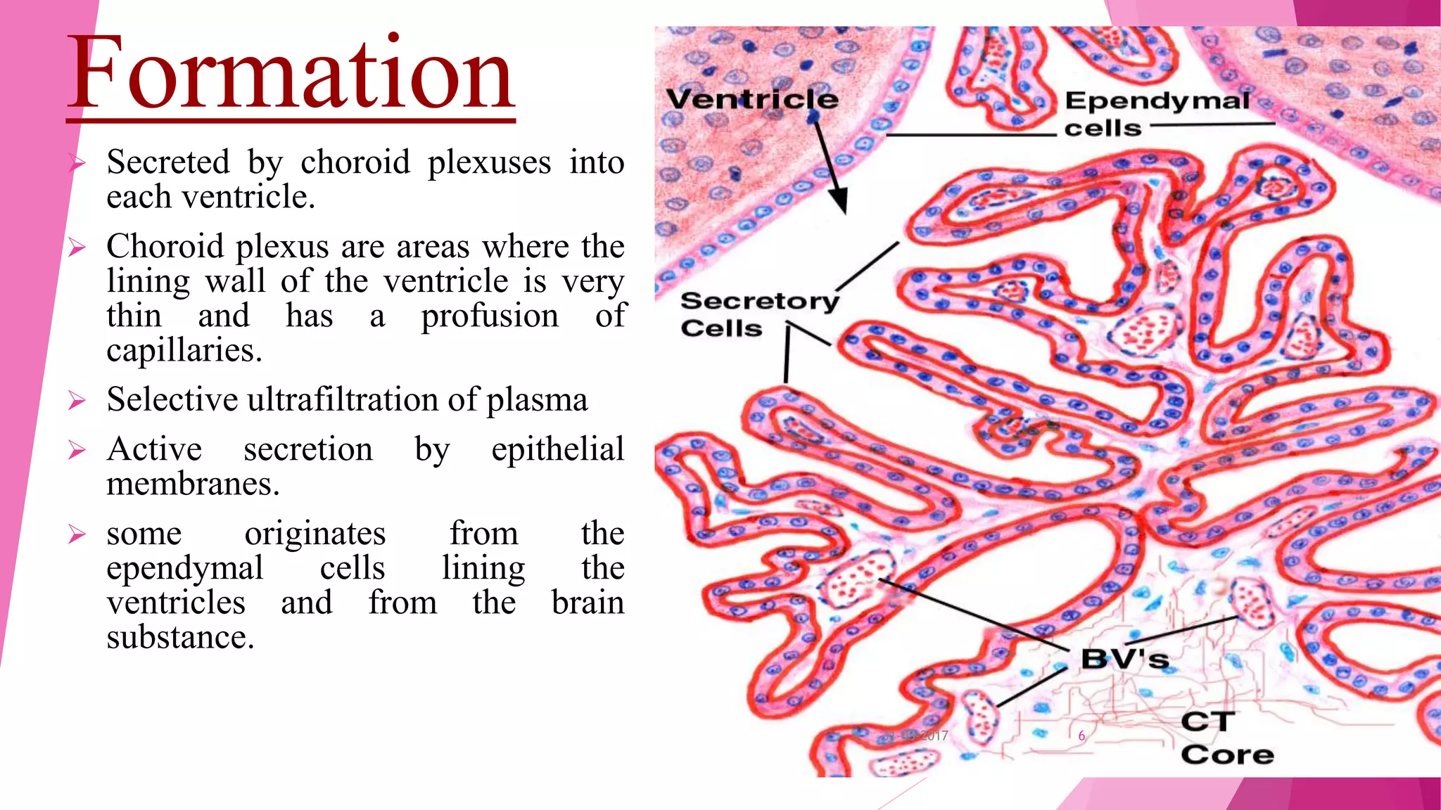 Cerebrospinal fluid | PPTX