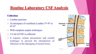 Cerebrospinal fluid | PPTX