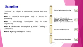 Cerebrospinal fluid | PPTX