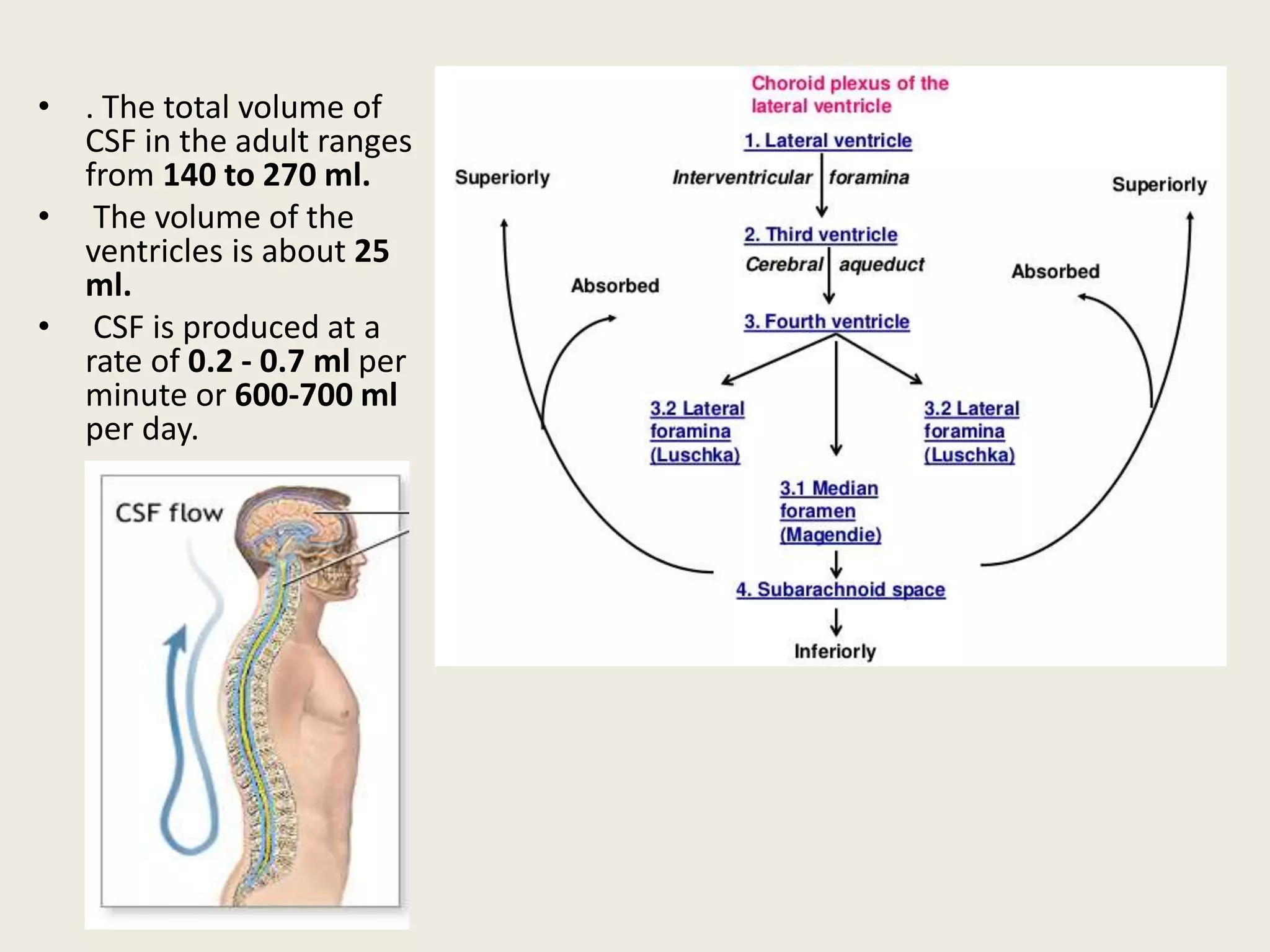 Cerebrospinal fluid | PPTX