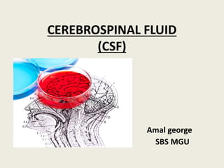 Cerebrospinal fluid | PPTX