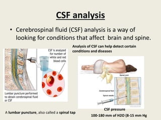 Cerebrospinal fluid | PPTX