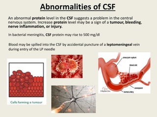 Cerebrospinal fluid | PPTX