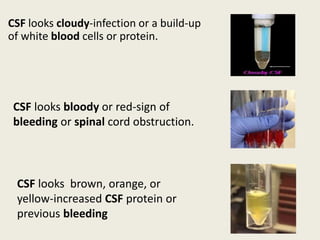 Cerebrospinal fluid | PPTX
