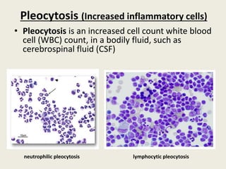 Cerebrospinal fluid | PPTX