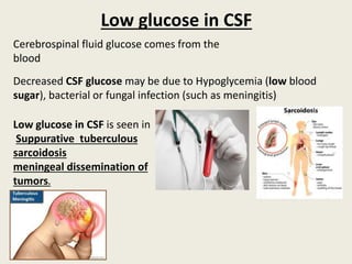 Cerebrospinal fluid | PPTX