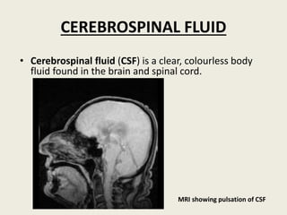 Cerebrospinal fluid | PPTX