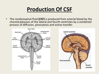 Cerebrospinal fluid | PPTX
