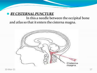 Cerebrospinal fluid, Anatomy and Physiology, Nervous system | PPTX
