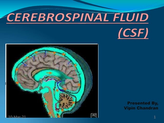 Cerebrospinal fluid, Anatomy and Physiology, Nervous system | PPT