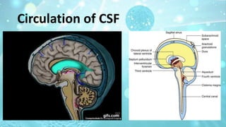 CEREBROSPINAL FLUID - A BRIEF PPT FOR NURSING AND MBBS | PPTX