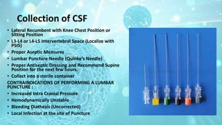 CEREBROSPINAL FLUID - A BRIEF PPT FOR NURSING AND MBBS | PPTX