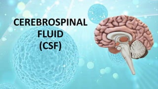 CEREBROSPINAL FLUID - A BRIEF PPT FOR NURSING AND MBBS | PPT