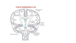 CEREBROSPINAL FLUID FLOW. POWERPOINT(ppt | PPTX