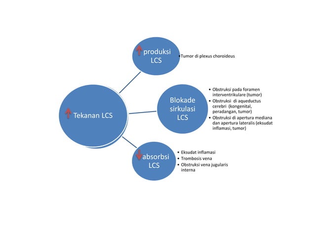 Cerebrospinal Fluid, lcs, hidrosephalus. | PPT