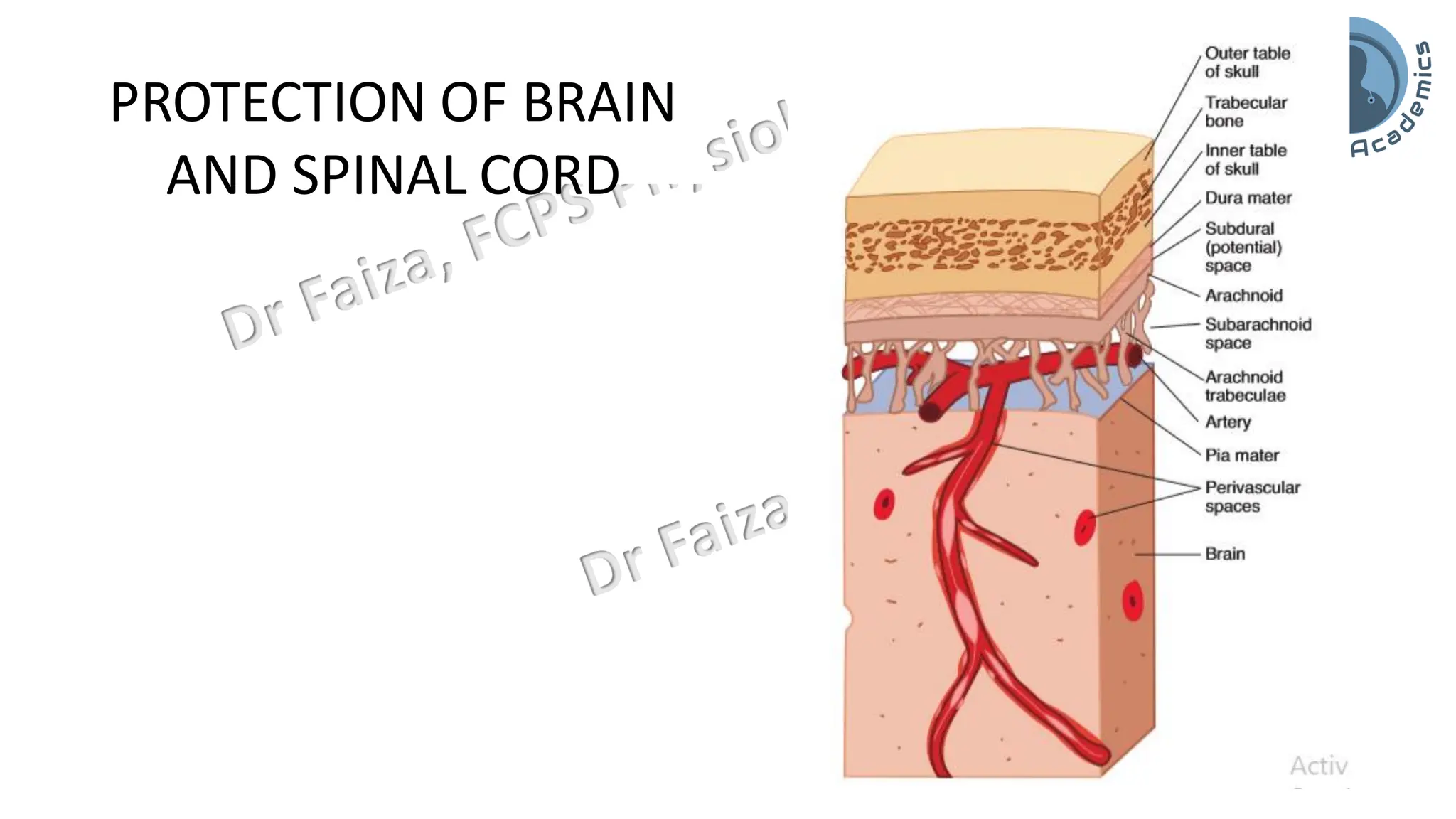 Cerebrospinal Fluid & Hydrocephalus.pdf | Brain and Nervous System Disorders | Diseases and ...