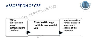 Cerebrospinal Fluid & Hydrocephalus.pdf | Brain and Nervous System Disorders | Diseases and ...