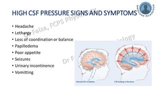 Cerebrospinal Fluid & Hydrocephalus.pdf | Brain and Nervous System Disorders | Diseases and ...
