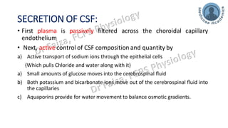 Cerebrospinal Fluid & Hydrocephalus.pdf | Brain and Nervous System ...