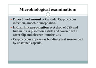 Cerebrospinal fluid sample collection | PDF