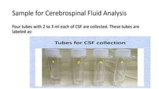 cerebrospinal fluid (1)11111.pptx
