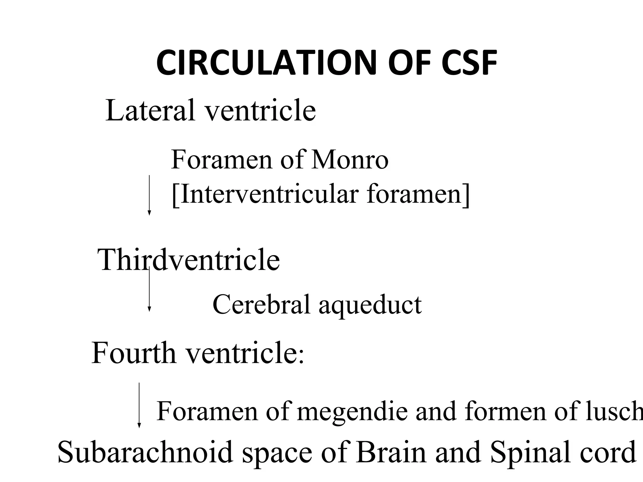 Cerebrospinal fluid and intracranial pressure | PPT