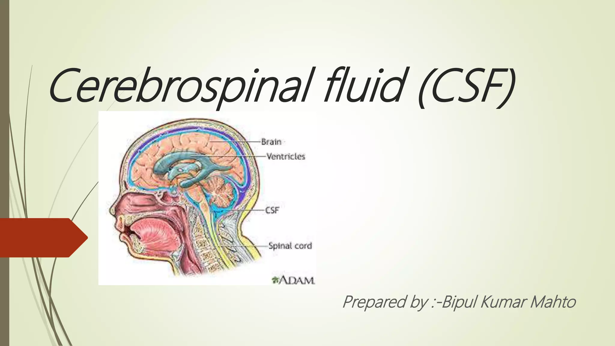 Cerebrospinal Fluid Csf Pptx