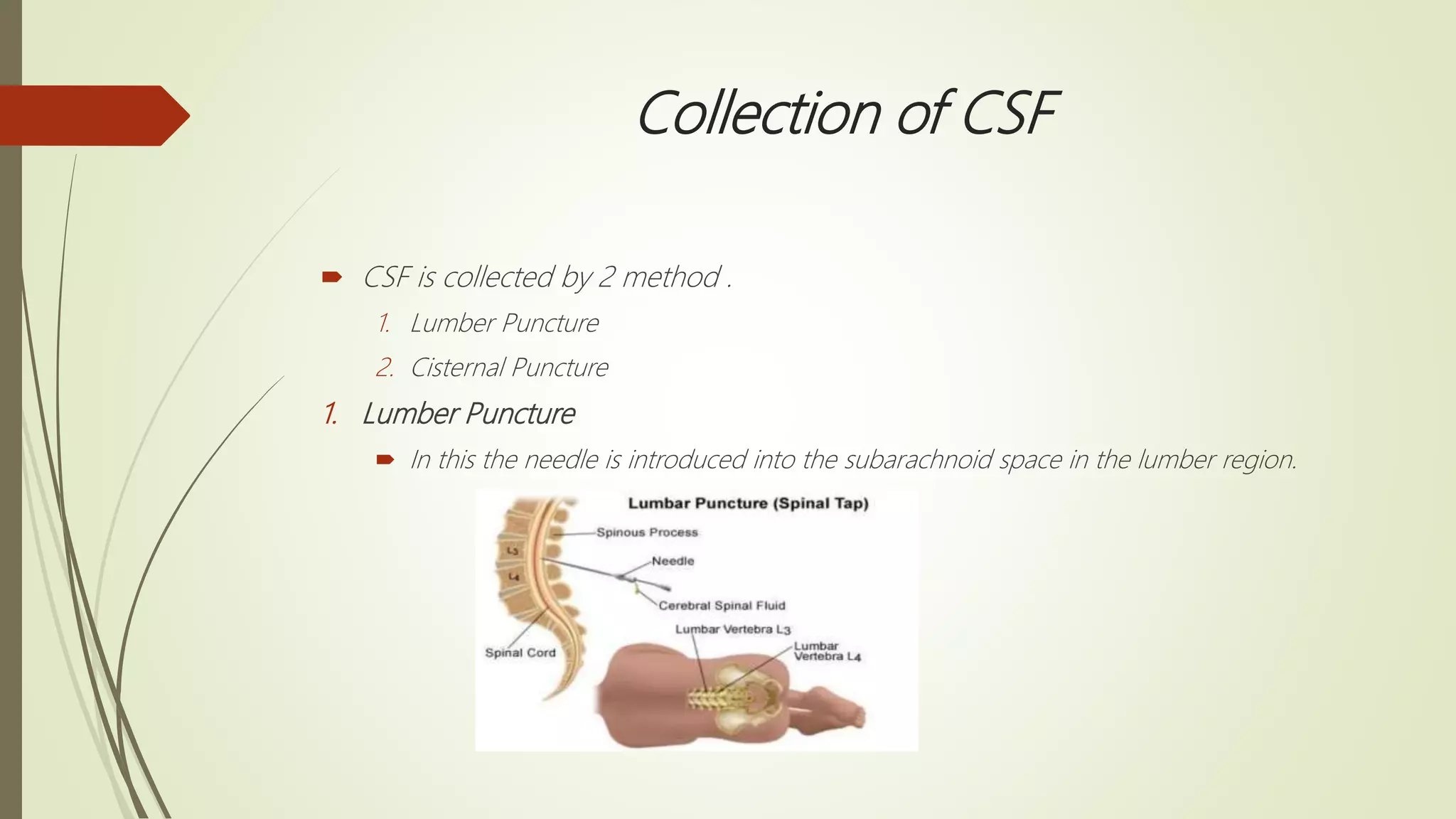Cerebrospinal fluid (csf) | PPTX