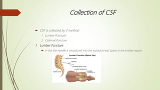 Cerebrospinal fluid (csf) | PPTX