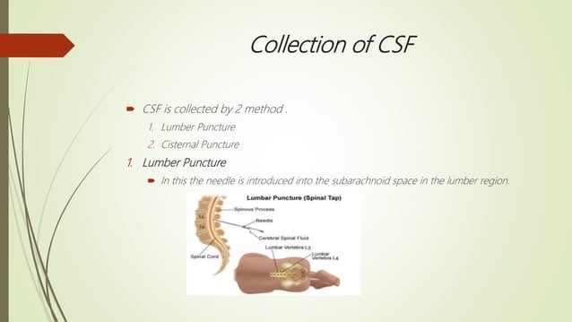 Cerebrospinal fluid (csf) | PPTX