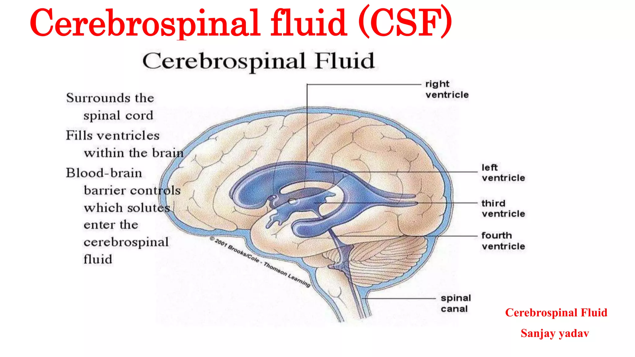 Cerebrospinal fluid (CSF).pptx
