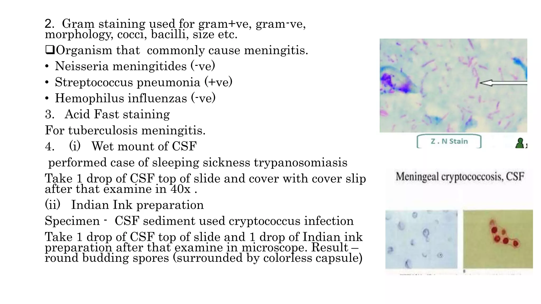 Cerebrospinal fluid (CSF).pptx