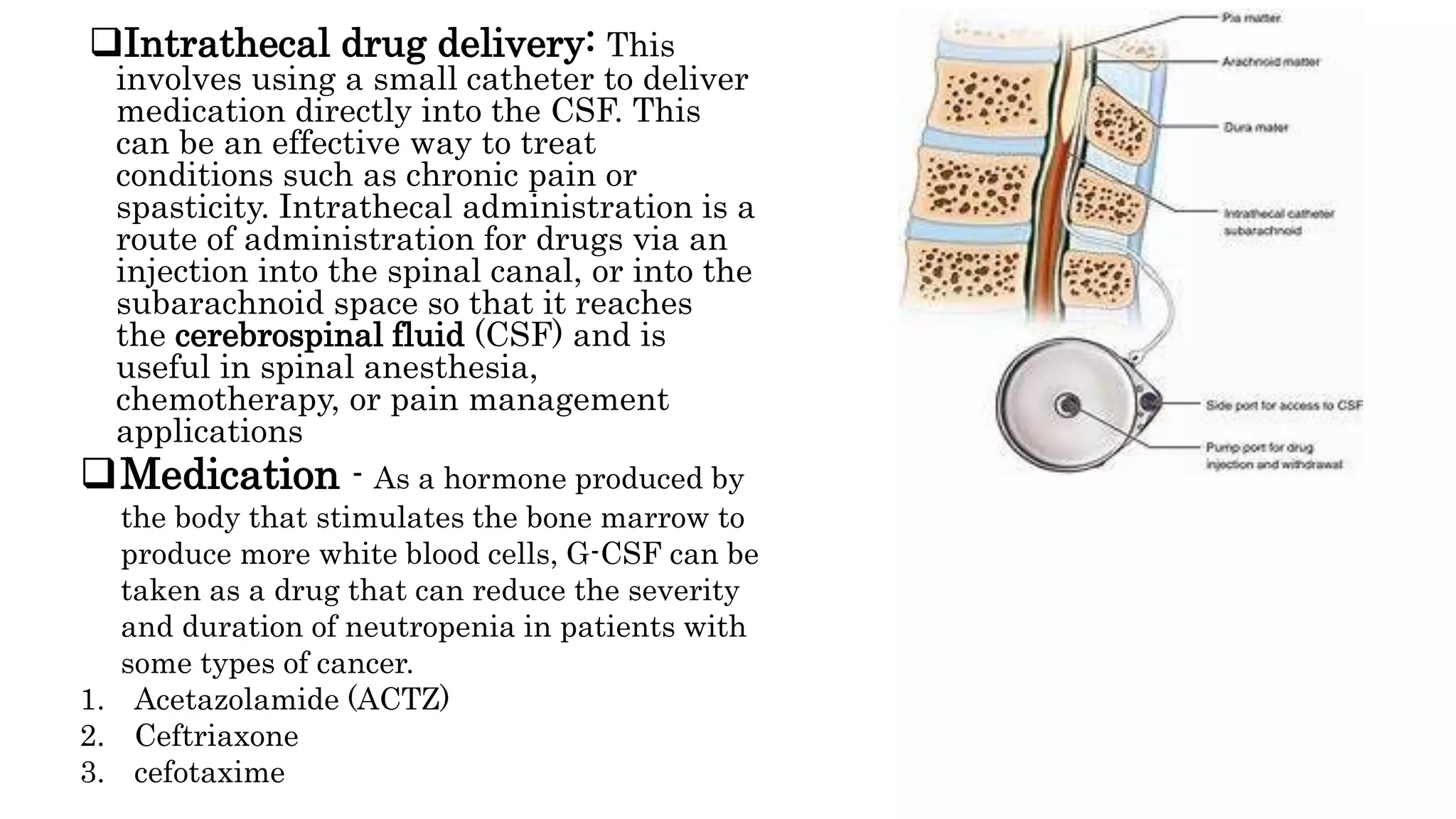 Cerebrospinal fluid (CSF).pptx