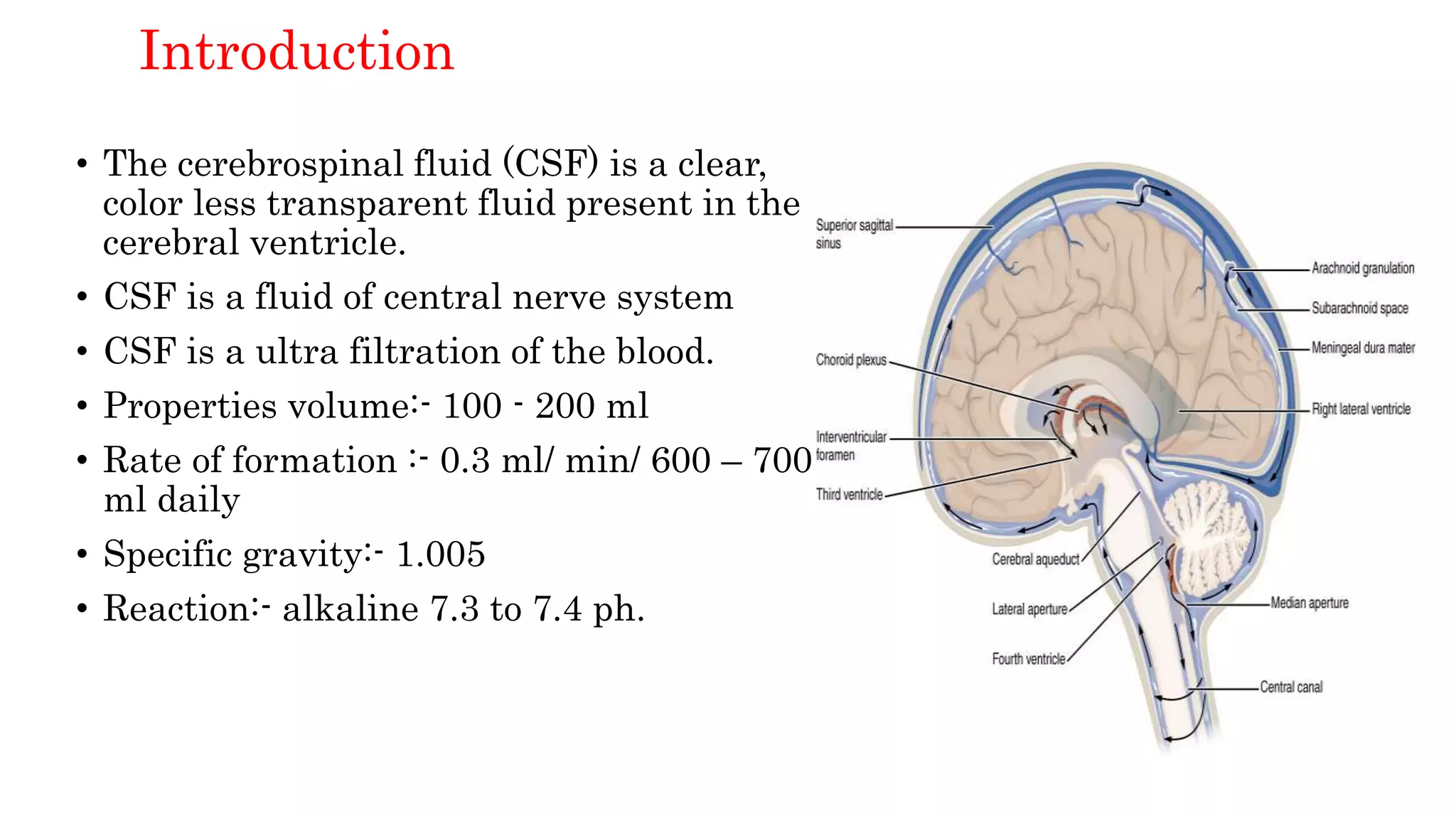 Cerebrospinal fluid (CSF).pptx