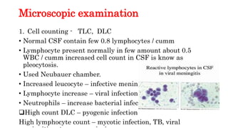 Cerebrospinal fluid (CSF).pptx
