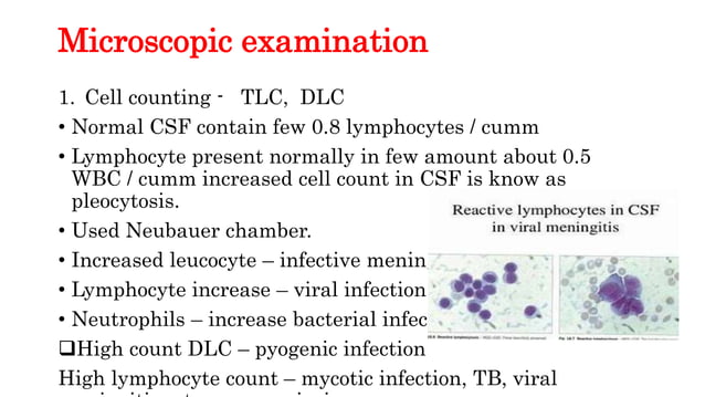 Cerebrospinal fluid (CSF).pptx | Blood Disorders | Diseases and Conditions
