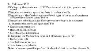 Cerebrospinal fluid (CSF).pptx