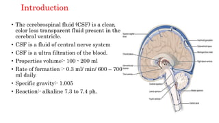 Cerebrospinal fluid (CSF).pptx