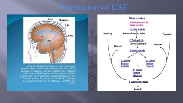 Cerebrospinal fluid (csf) D. ARAVINTH RAJ.