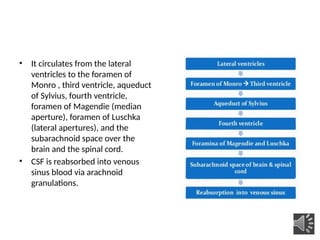 Cerebrospinal Fluid (CSF) and it’s circulation.pptx