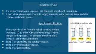 Cerebrospinal Fluid (CSF) Examination.pptx