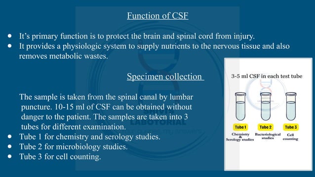 Cerebrospinal Fluid (CSF) Examination.pptx