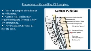 Cerebrospinal Fluid (CSF) Examination.pptx