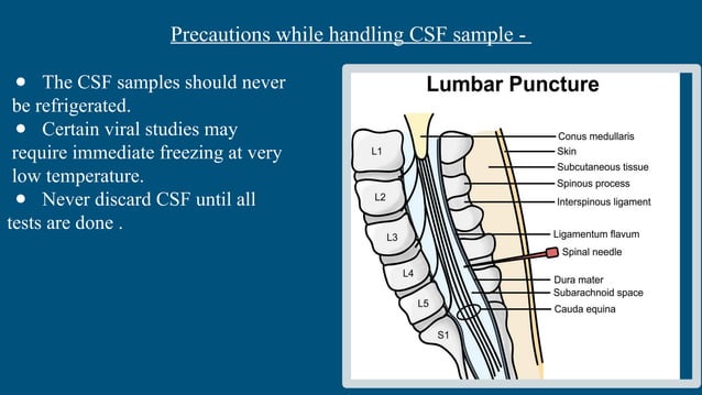 Cerebrospinal Fluid (CSF) Examination.pptx
