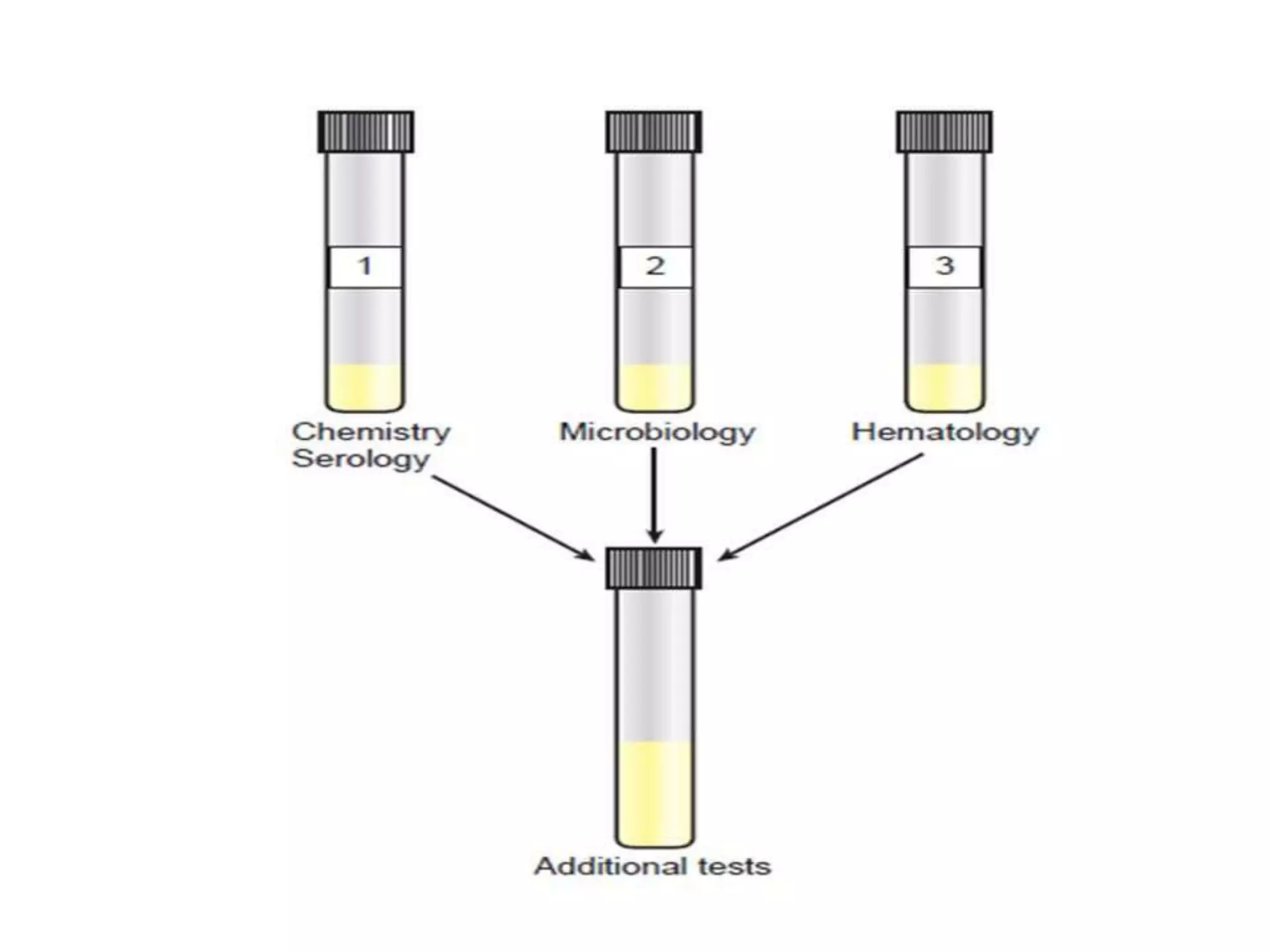 Cerebrospinal fluid (csf) examination under microscope | PPTX