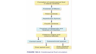 CEREBROSPINAL FLUID & IT’S FUNCTIONS.pptx