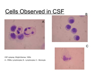 Cerebrospinalfluid RAJIV BOORA | PPT